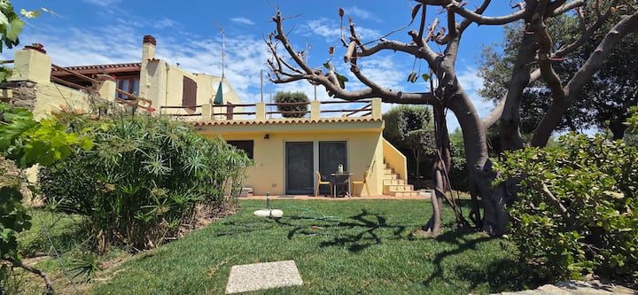 Ampio Monolocale Immerso Nel Verde. - La Maddalena