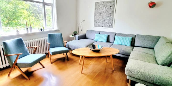 A Bright Apartment In City Center - Reykjavik