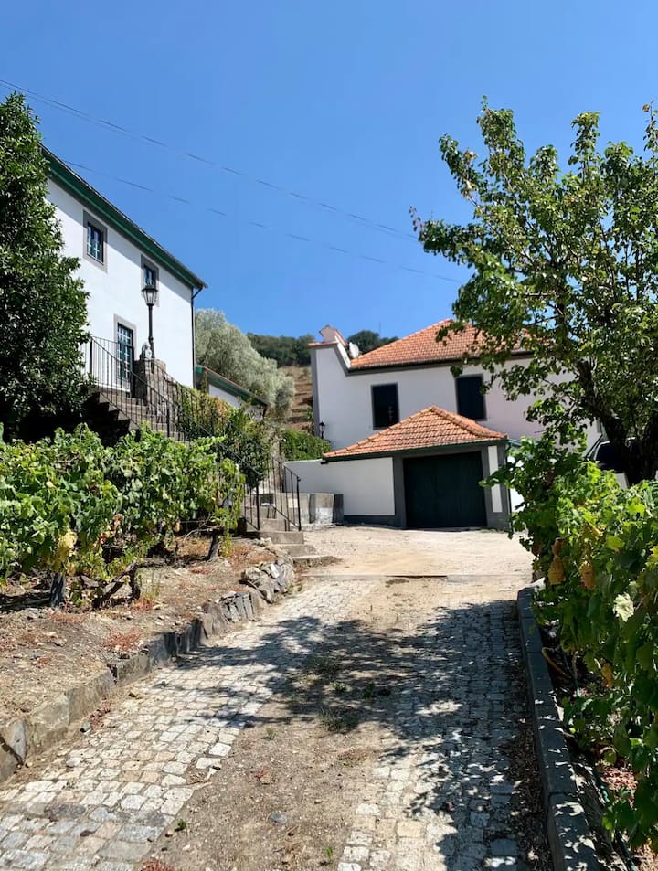 Quinta De Vila Pouca Grande Ap.2 - Mesão Frio