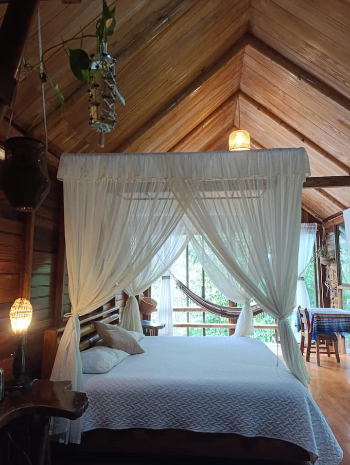 Amanecer Amazónico - Puyo