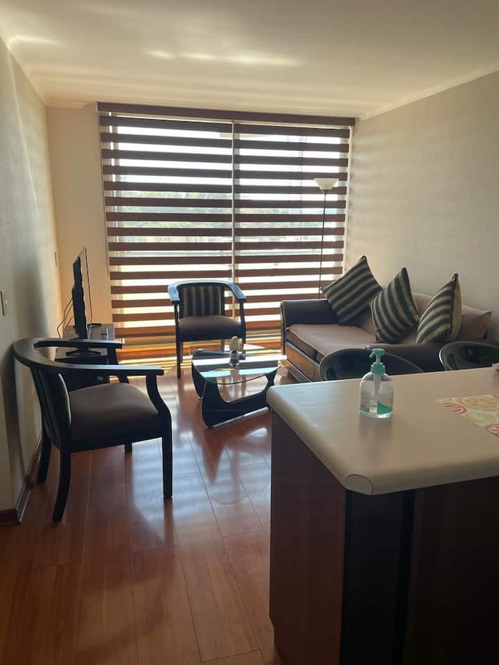 Anibal Pinto, Concepción. Con Estacionamiento. - Concepción, Chile