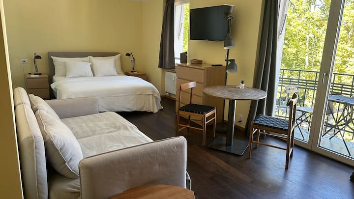 Brandnew Studio-suite With Balcony - زيورخ