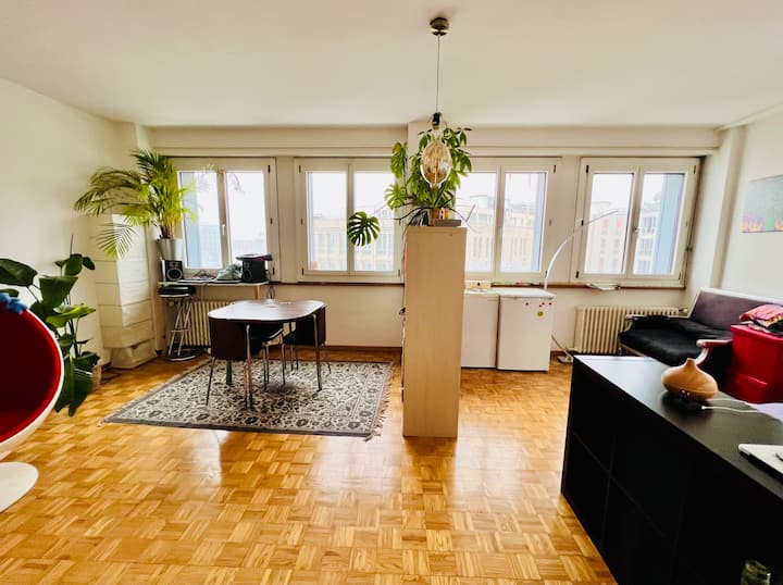 Charming Studio In The Heart Of Geneva - Genf