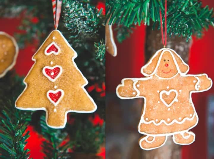 Location De Vacances "La Haute Meurthe - Vosges " - Vosges