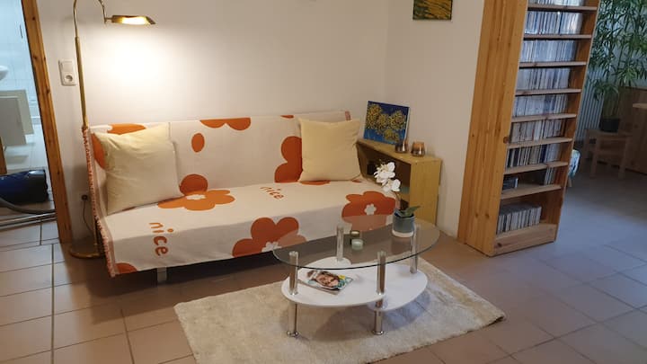 Lübeck Souterrain Wohnung  In  Alter Villa 
古老温馨的家 - Lübeck