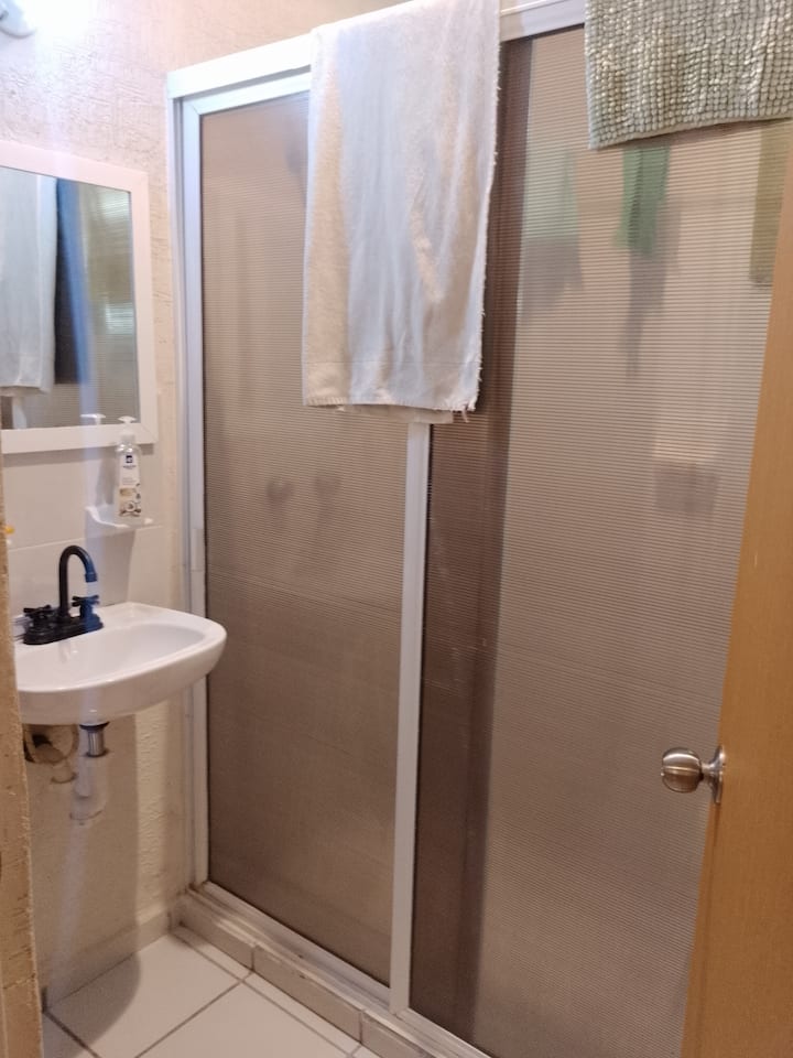 El Hogar Del Gato - Puerto Morelos