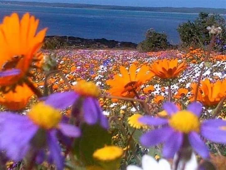 Khoisands X-clusive .  Langebaan Private Getaway - Langebaan