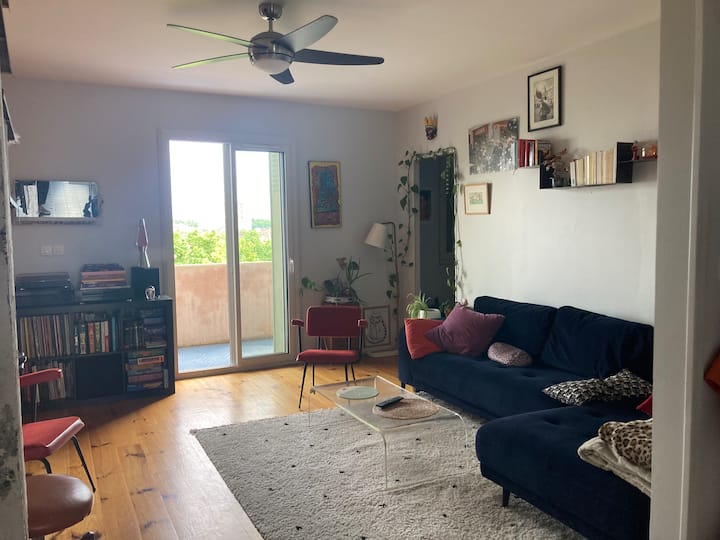 Toulouse : Grand Appartement En Centre Ville - Toulouse