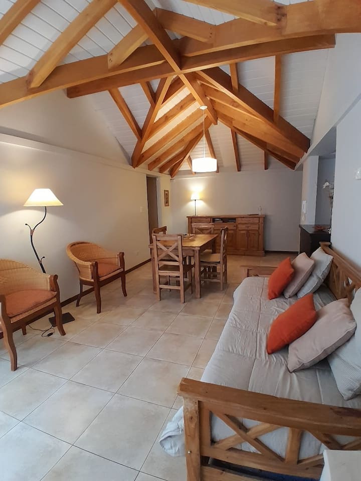 Camino Al Sur - San Martín de los Andes