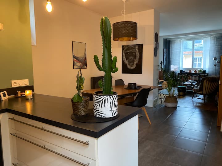 Chambre Dans Bel Appartement, Quartier Art Déco. - Dijon
