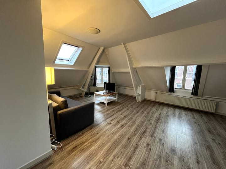 Ruim Appartement Dichtbij Centrum - Utrecht