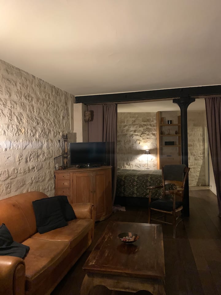 Appartement  Style Loft En Rez De Chaussée. - Paris