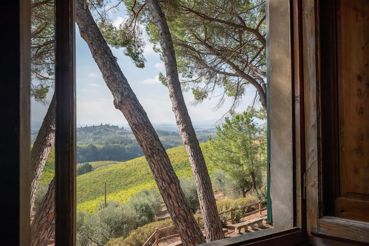 4-bedroom Apartment With Swimming Pool In Chianti - Certaldo