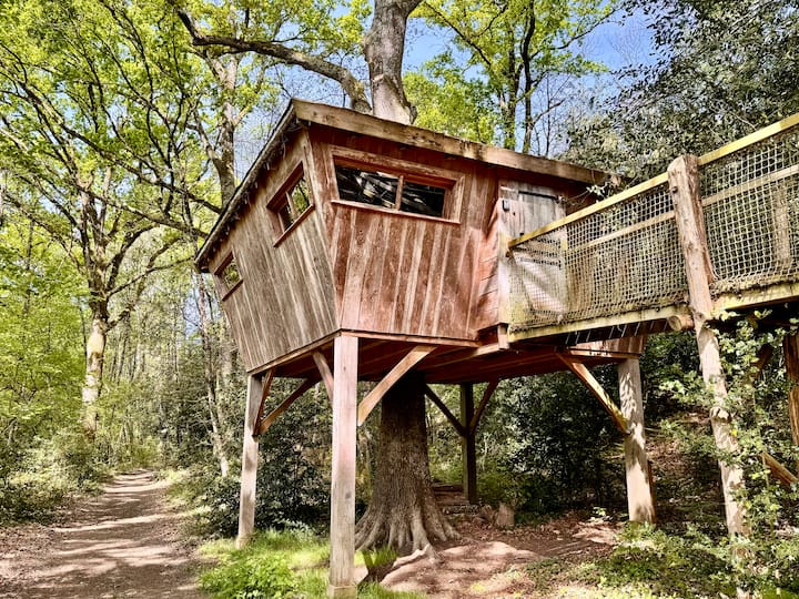 Cabane Mésange - Laval, France