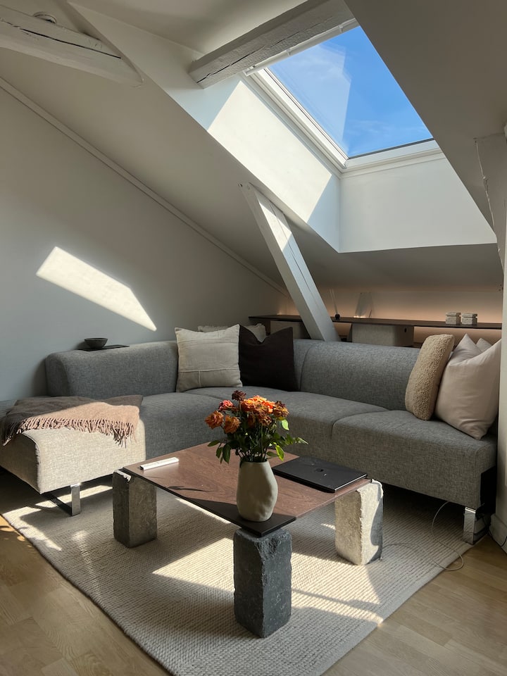 Toppleilighet På Grunerløkka - Oslo