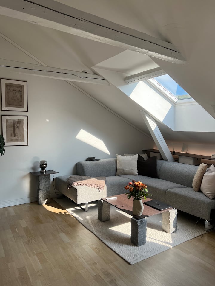 Toppleilighet På Grünerløkka Med Privat Balkong - Oslo