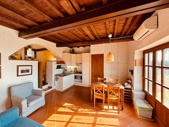 Cozy Country House, Garden, Ocean View, Wi-fi, Ac - Rio