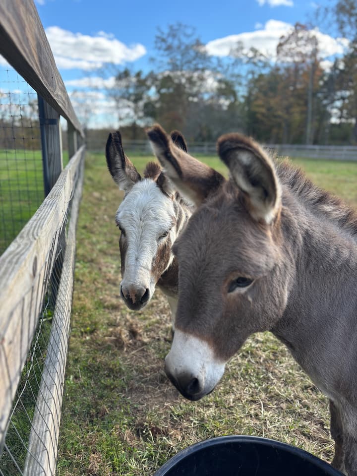 The Barn Nook - Waterbury, CT
