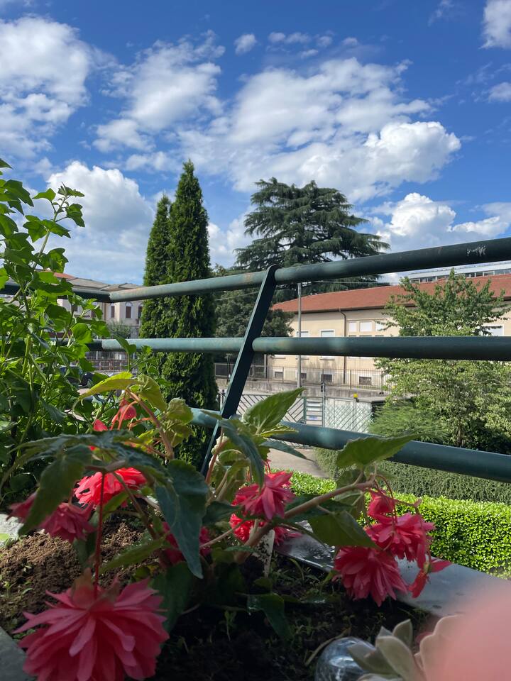 Appartamento Confort Varese(va) - Varese