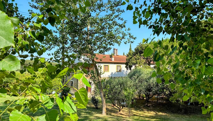 Casa Franziska - In The Heart Of The Olive Grove - Soiana