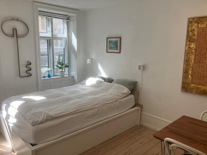 I Centrum Ved Station & Park, København K/indre By - Copenhagen