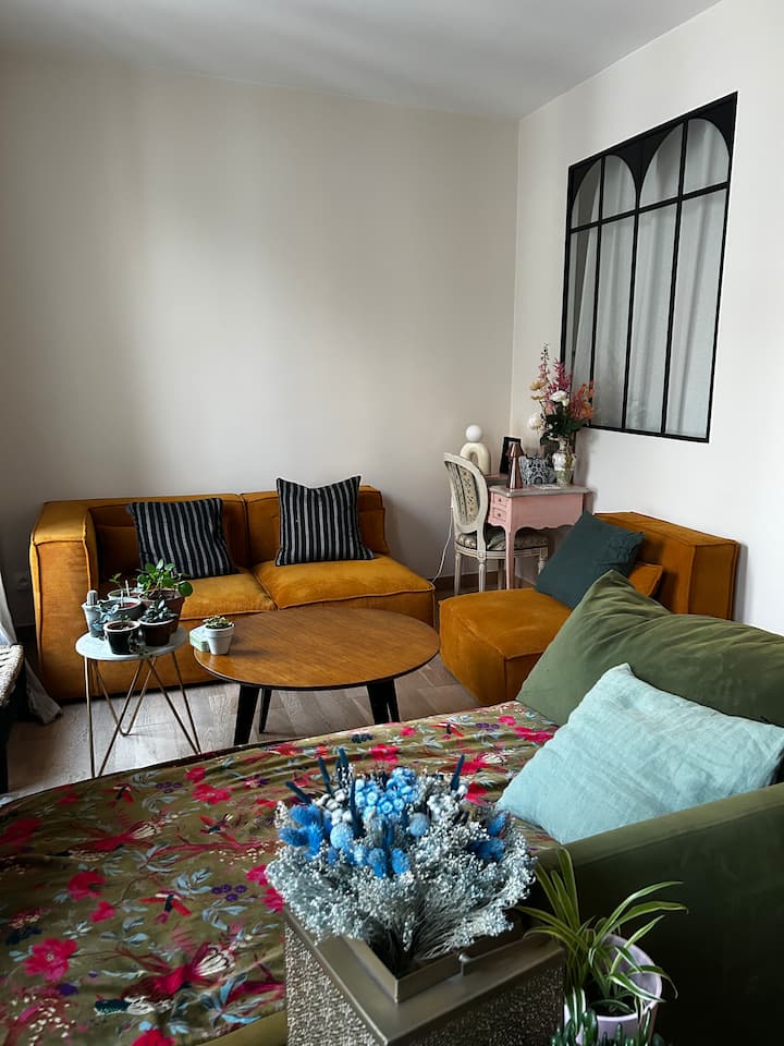 Appartement Entier, 1 Grande Chambre & Grand Salon - Paris