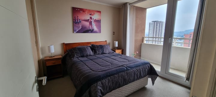 Central Con Estacionamiento, Wifi Y Hermosa Vista - Temuco