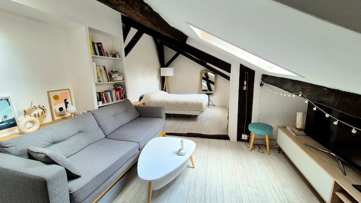 Lovely Parisian Flat In The Center Of Paris - Paris