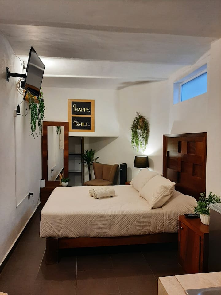 Private Exclusive Loft In The Heart Of Querétaro 1 - Querétaro