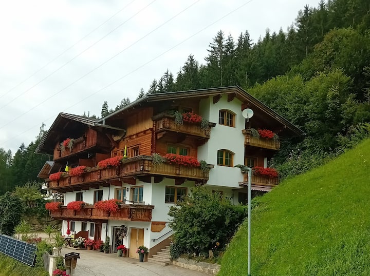Haus Alpin Top 2 - Zell am Ziller