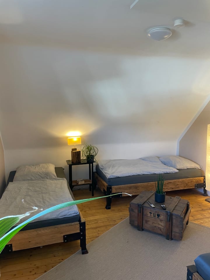 Top Apartement 1 Air Condition Bvb, Messe, Park - Dortmund