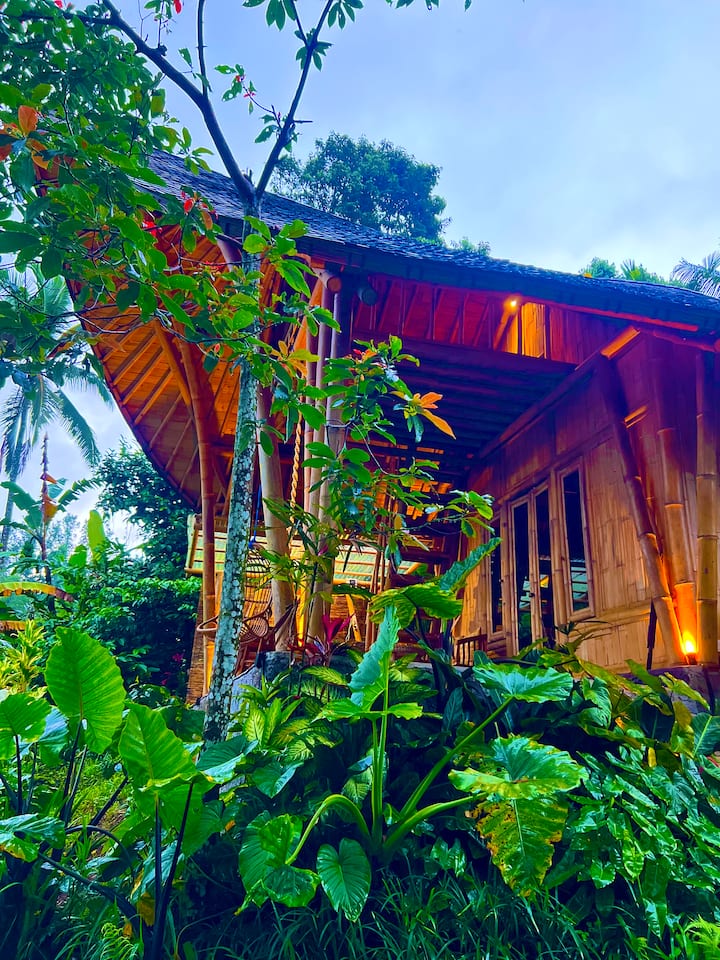 Faraway On Mount Batukaru - Bali