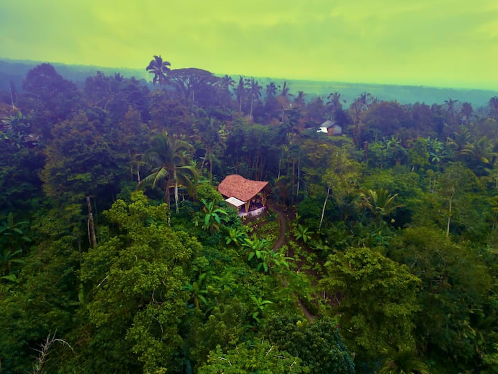Faraway On Mount Batukaru - Bali