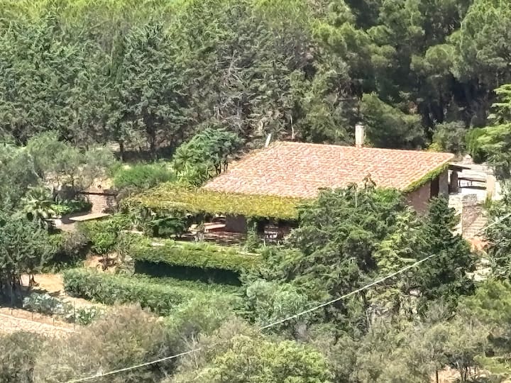 Villa Il Riccio - Orbetello