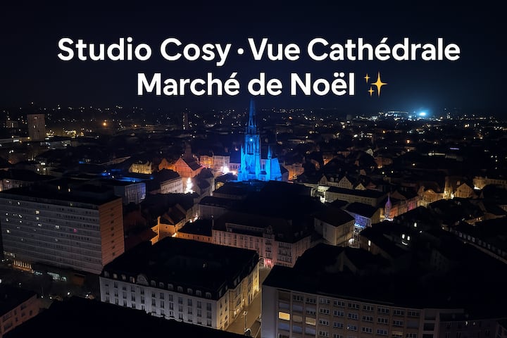 Vue Magique Sur Mulhouse • Noël & Centre-ville - Mulhouse