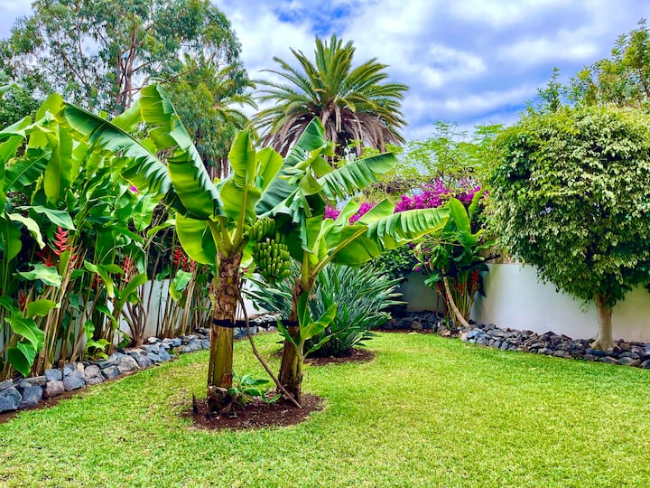 Fantastic Big Apartment/garden/parking/centric - Puerto de la Cruz