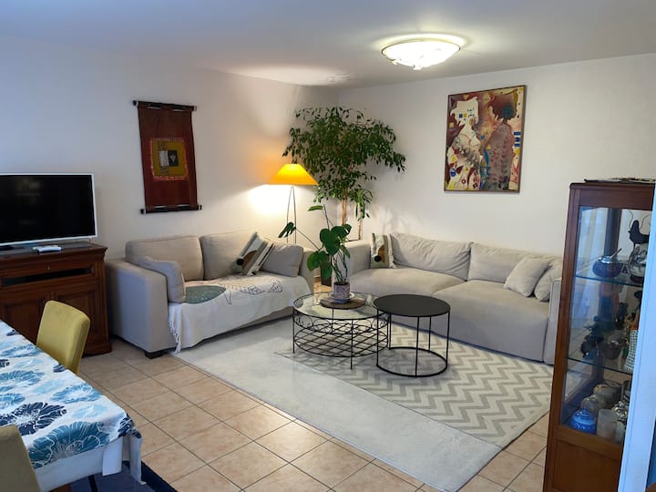 Appartement Standing Grand Genève/palexpo/aéroport - Ferney-Voltaire