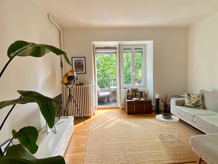 Grosszügige Wohnung An Zentraler Lage - Berne