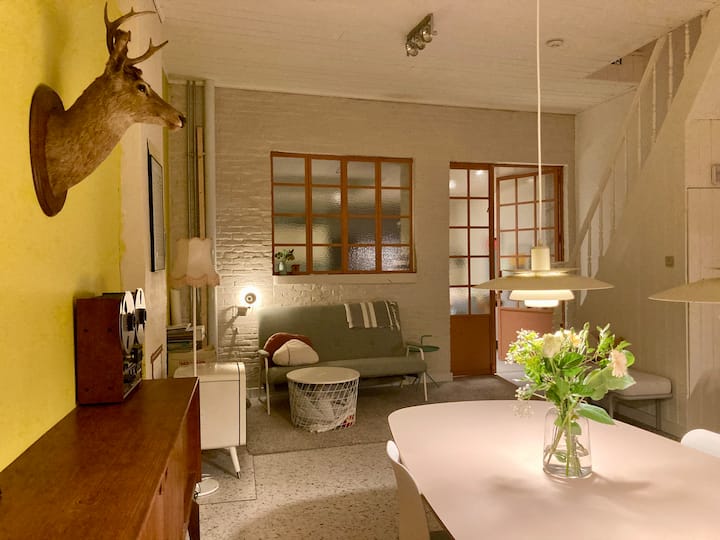 Staying At Berts Place - Leuven