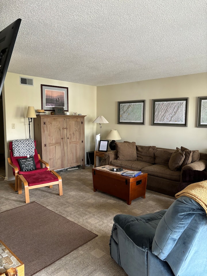 Cozy Updated Wintergreen Condo At Devil’s Knob - Wintergreen, VA