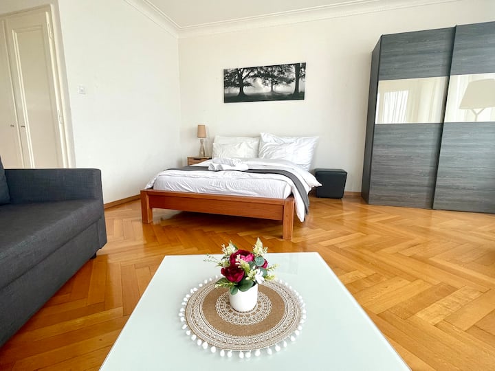 Appartement Avec Grand Balcon Au Centre - Lausanne