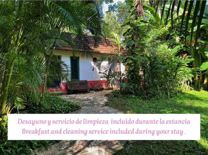 Turtles Paradise - Mérida