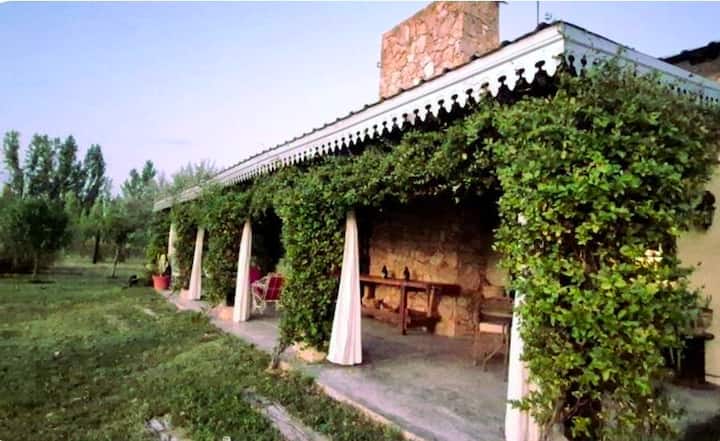 El Madejo Of Valle De Uco - Tunuyán