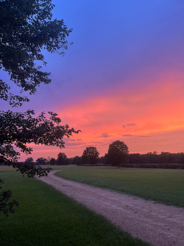 First Fruits Farm - Mississippi
