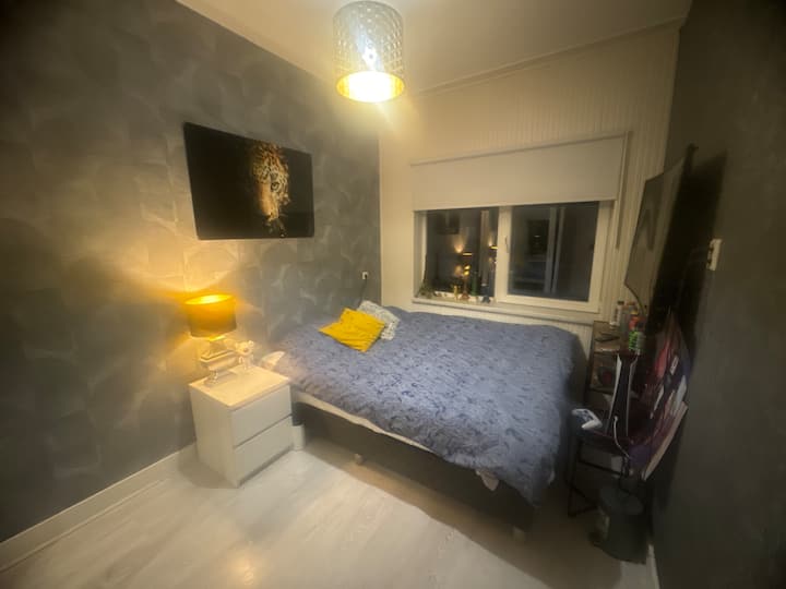 Room In Den Haag - The Hague