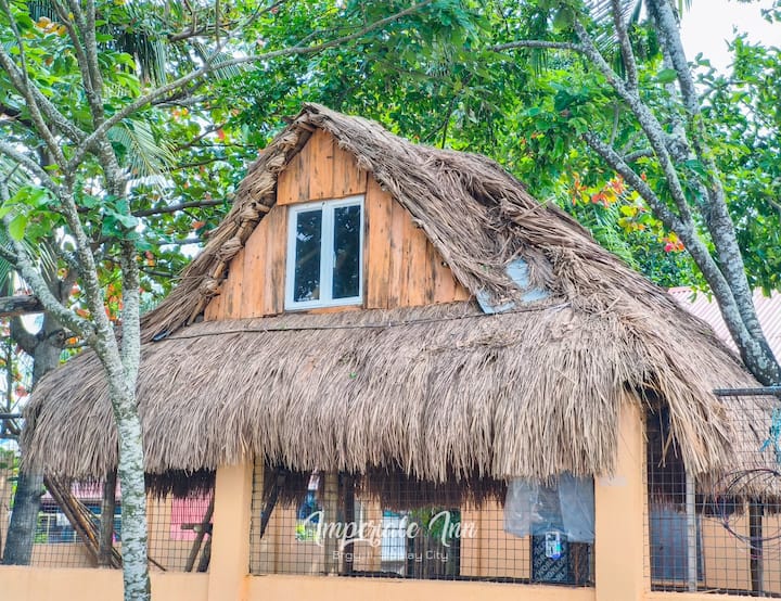 Imperiale Inn - Sipalay