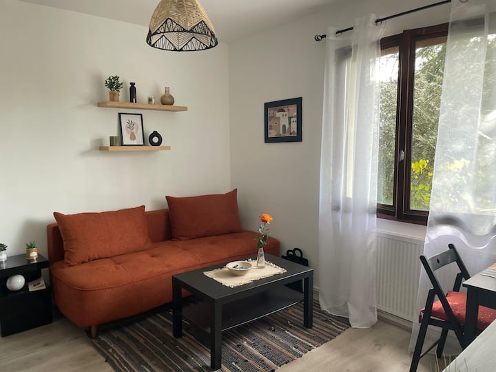 Chaleureux T2 à L’etrat Proche St ÉTienne - Andrézieux-Bouthéon