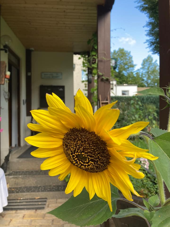 Deli 106 App. 4 Sleeping Rooms -  8 Min To City - Leipzig