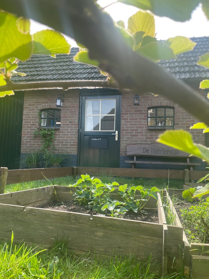 Vierakker Bed & Breakfast - Zutphen
