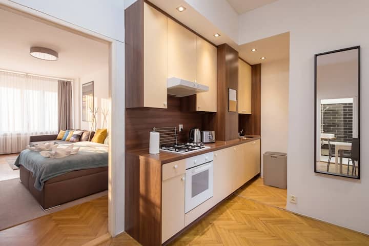 2br Apartment In City Centre - Praga